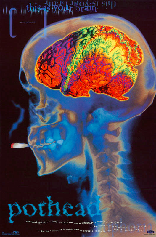 MJ - POTHEAD-THIS IS YOUR BRAIN - POSTER FW1J – Midwest Posters
