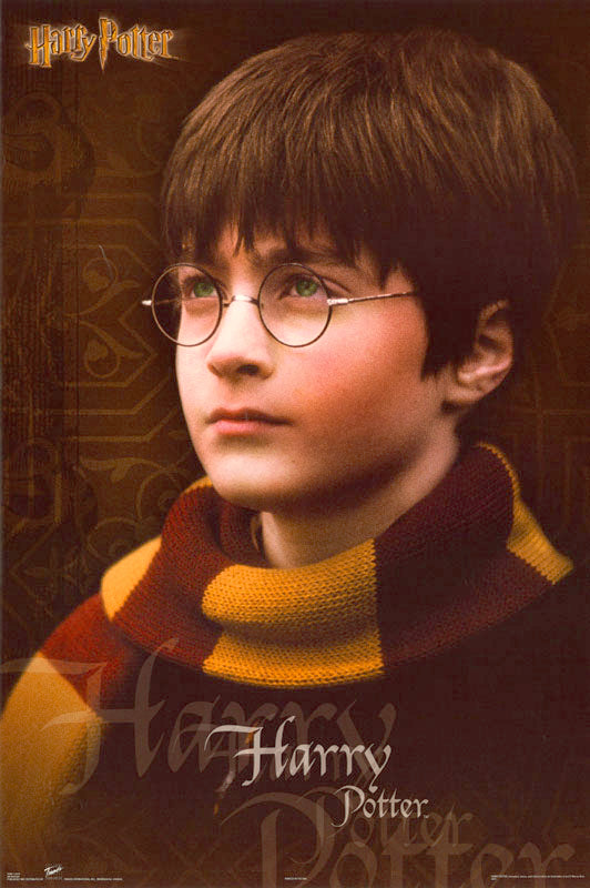 MOVIE - HARRY POTTER - POSTER LW25i – Midwest Posters